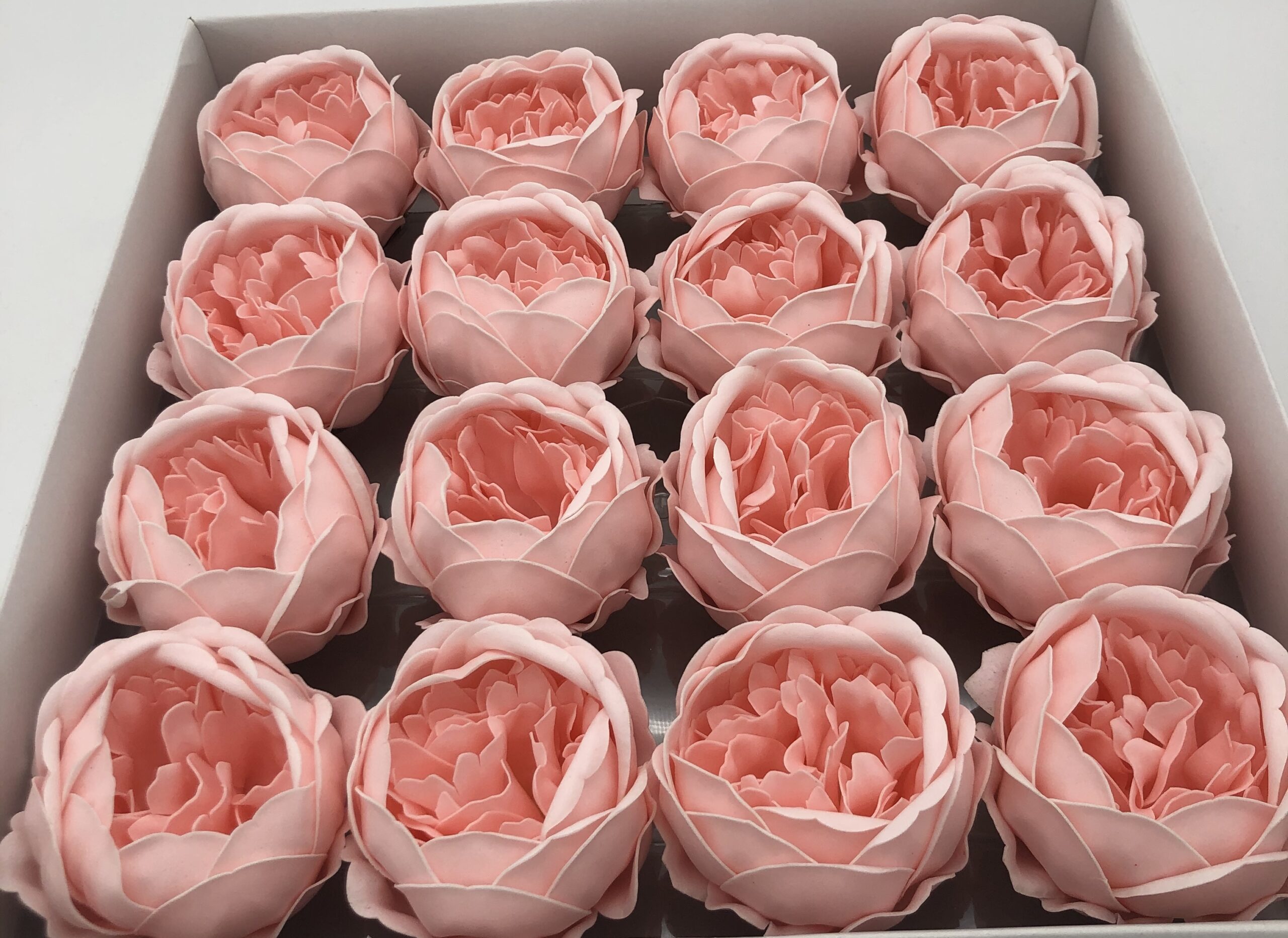 ΜΙΝΙ ΤΡΙΑΝΤΑΦΥΛΛΑ – rose-melin.com