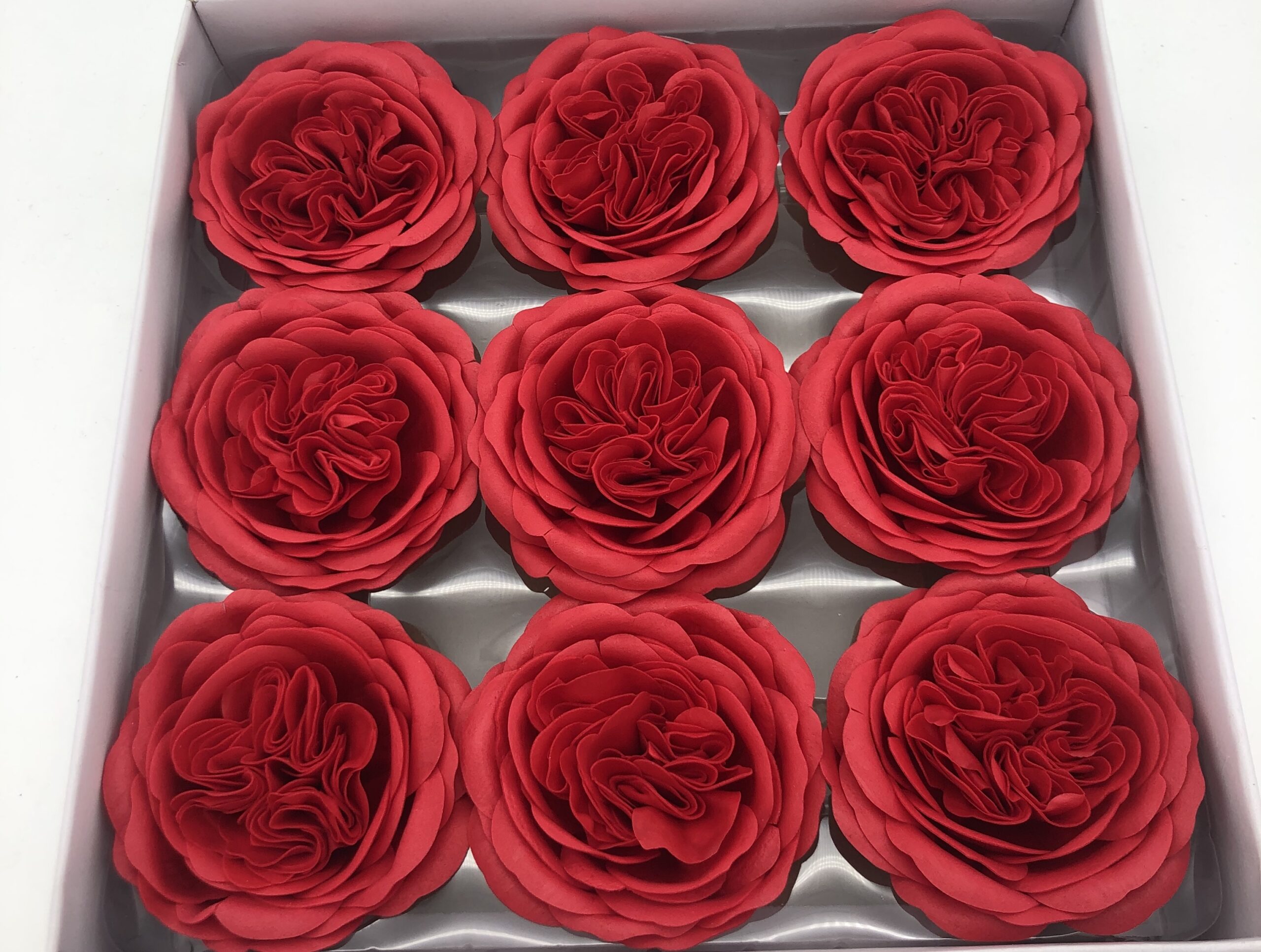 ΤΡΙΑΝΤΑΦΥΛΛΟ GARDEN – rose-melin.com